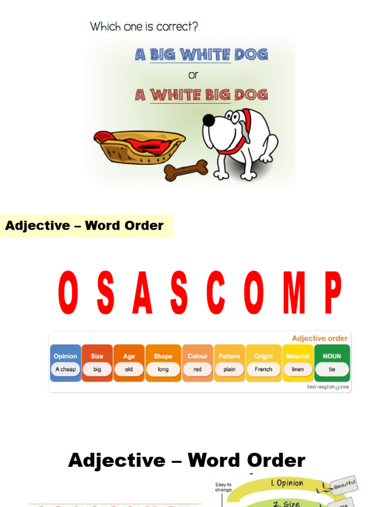 OSASCOMP | PDF | Lifestyle