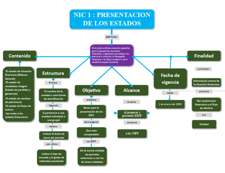 NIC 1: Presentación de EEFF | PDF