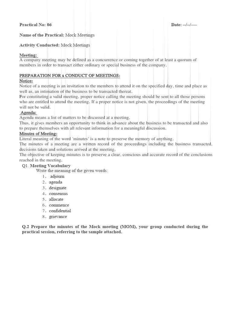 Practical 06 Mock Meeting | PDF | Advertising | New Product Development