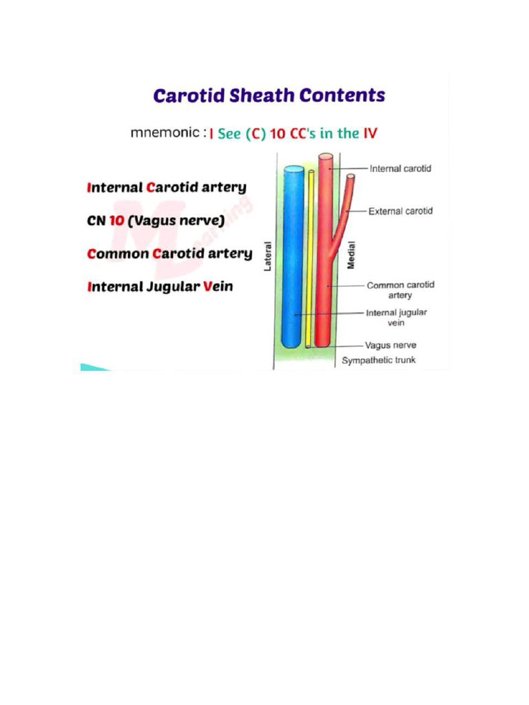 TUT 5 Additional Resources | PDF