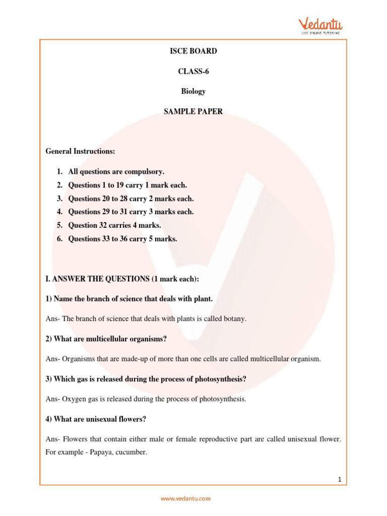 Class 6 Biology Sample Paper | PDF | Artery | Leaf