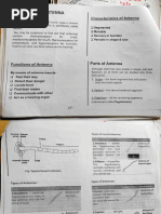 Insect Leg Types and Functions Guide | PDF | Insects | Beetle