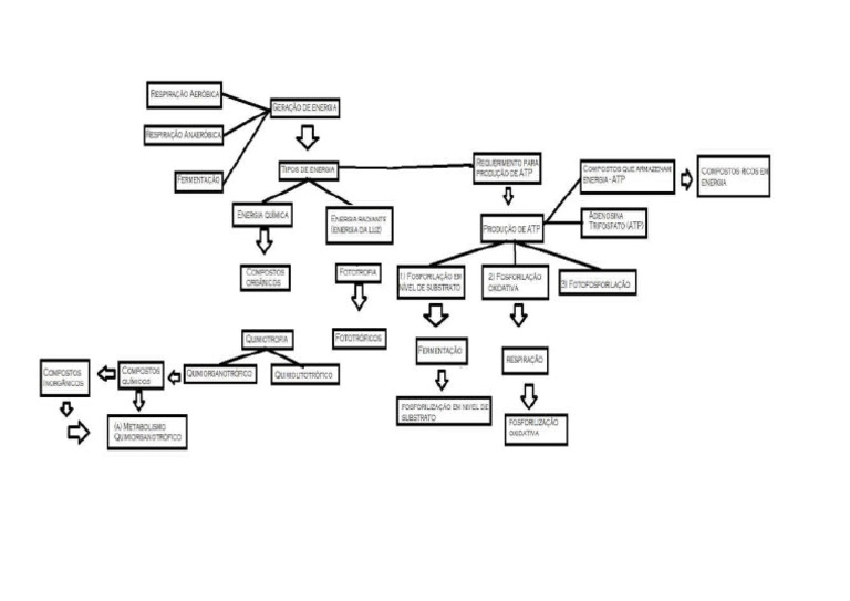 Mapa 2 de Fisiologia | PDF
