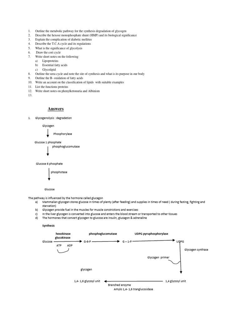 BIOCHEMISTRY QUESTIONS | PDF | Glycolysis | Glycogen