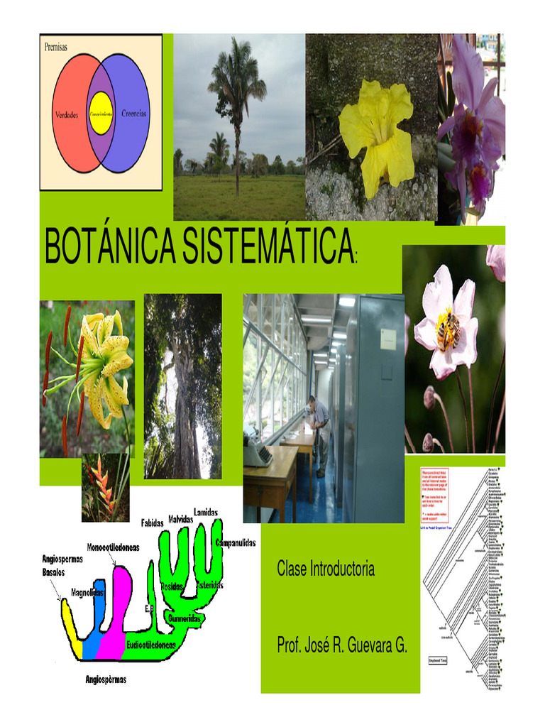 Botánica Sistemática General | PDF | Taxonomía (biología) | Evolución