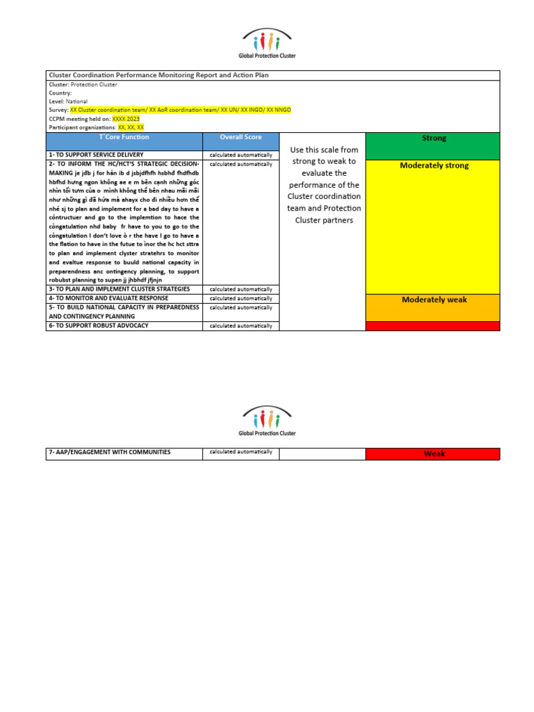 2023 CCPM Report Template and Action Plan Eng | PDF