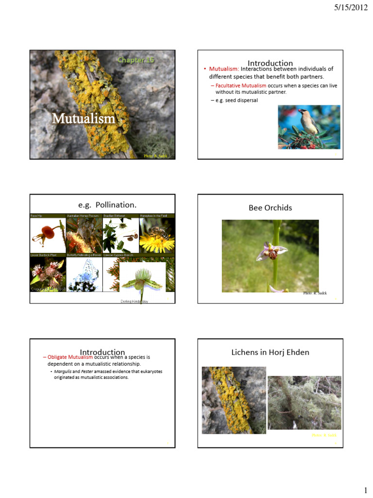 15 Mutualism | PDF | Ecology | Biological Interactions