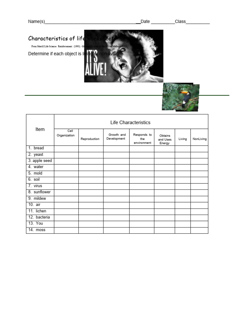 Characteristics of Life Worksheet | PDF