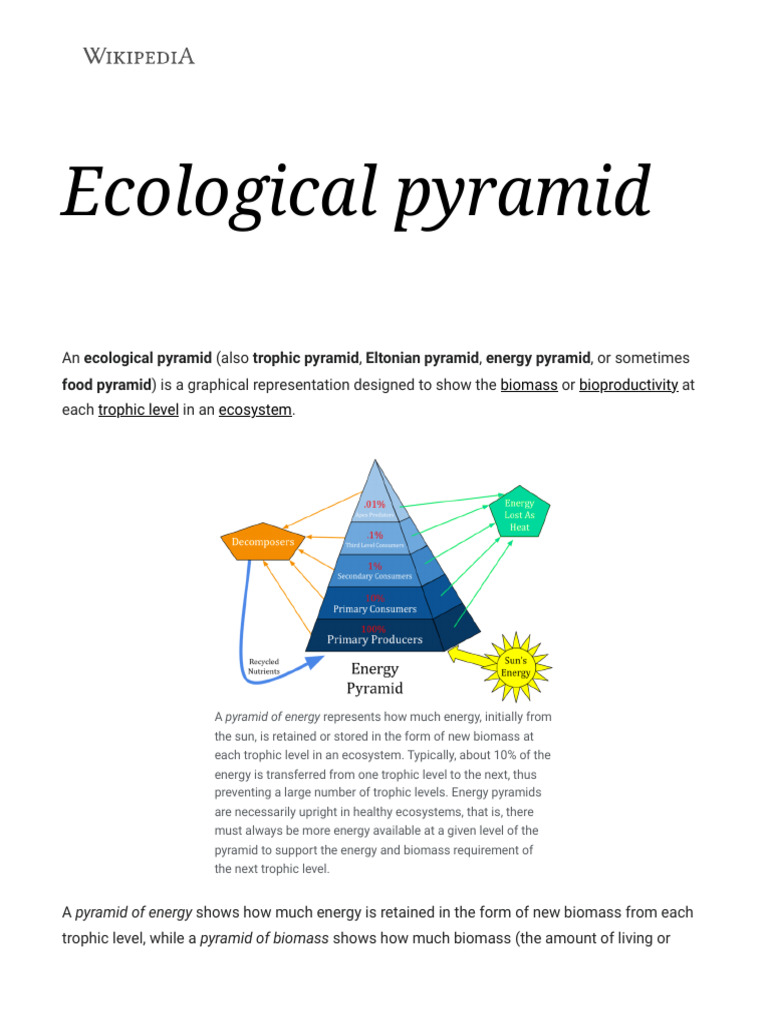 Ecological Pyramid - Wikipedia | PDF | Food Web | Ecology