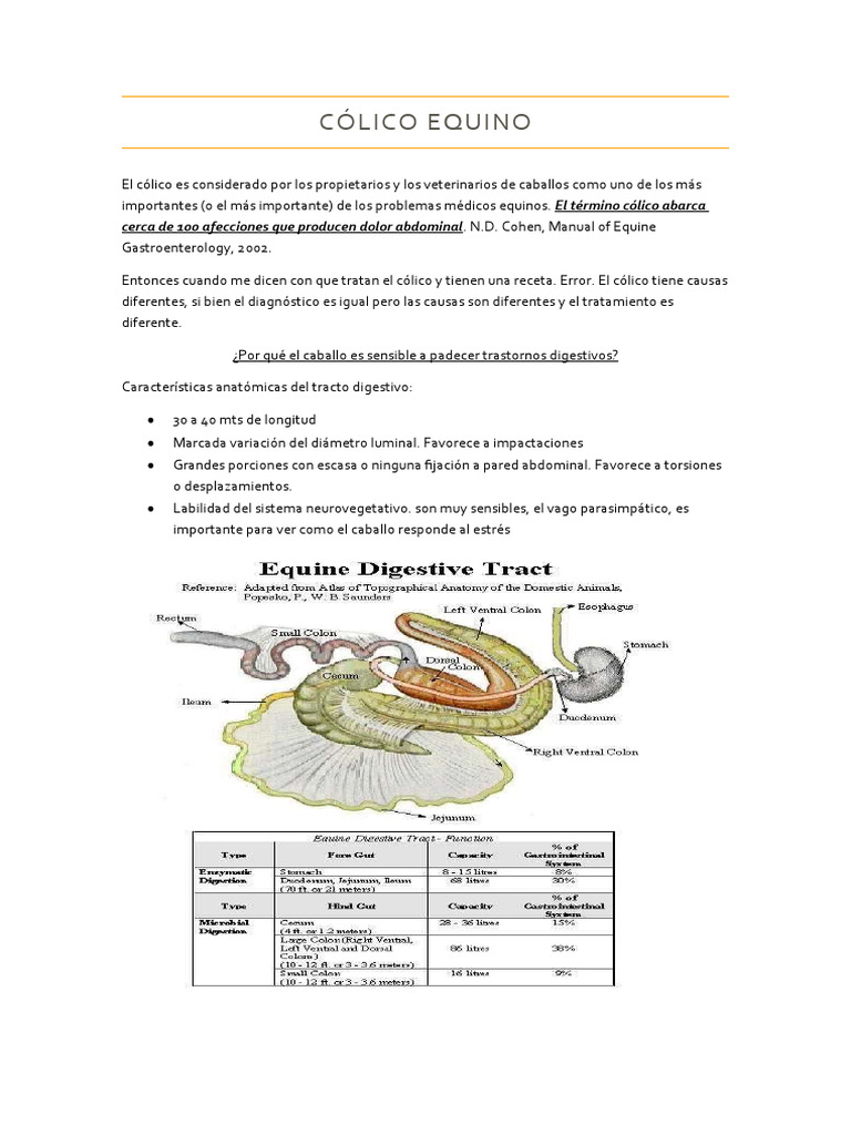 Cólico Equino Clinica de Grandes | PDF | Intestino grueso | Pasto