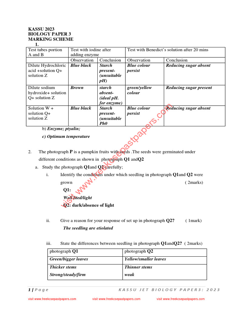Pp3 Kassu Pp3 Ms | PDF | Evolution | Homology (Biology)