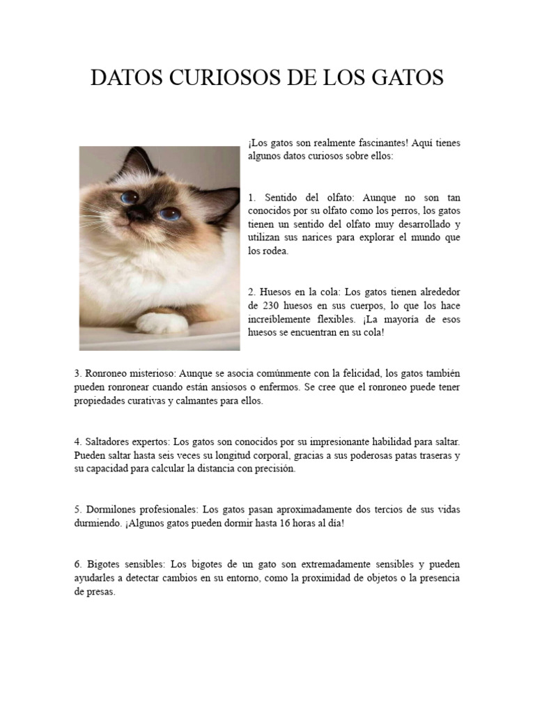 Datos Curiosos de Los Gatos | PDF | Gatos | Animales y humanos