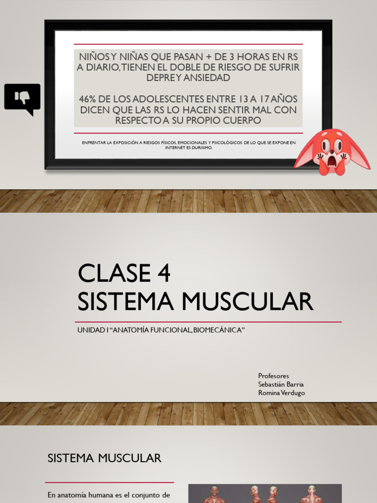 Ciencias Del Ejercicio Fisico Clase 4 | PDF | Hombro | Músculo