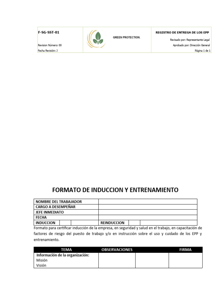 Formato-de-Induccion | PDF | Business | Razonamiento inductivo