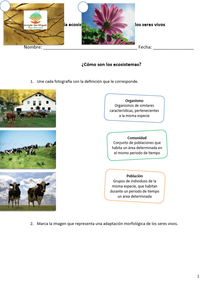 Guía Ecosistemas 4° | Descargar gratis PDF | Ecosistema | Organismos