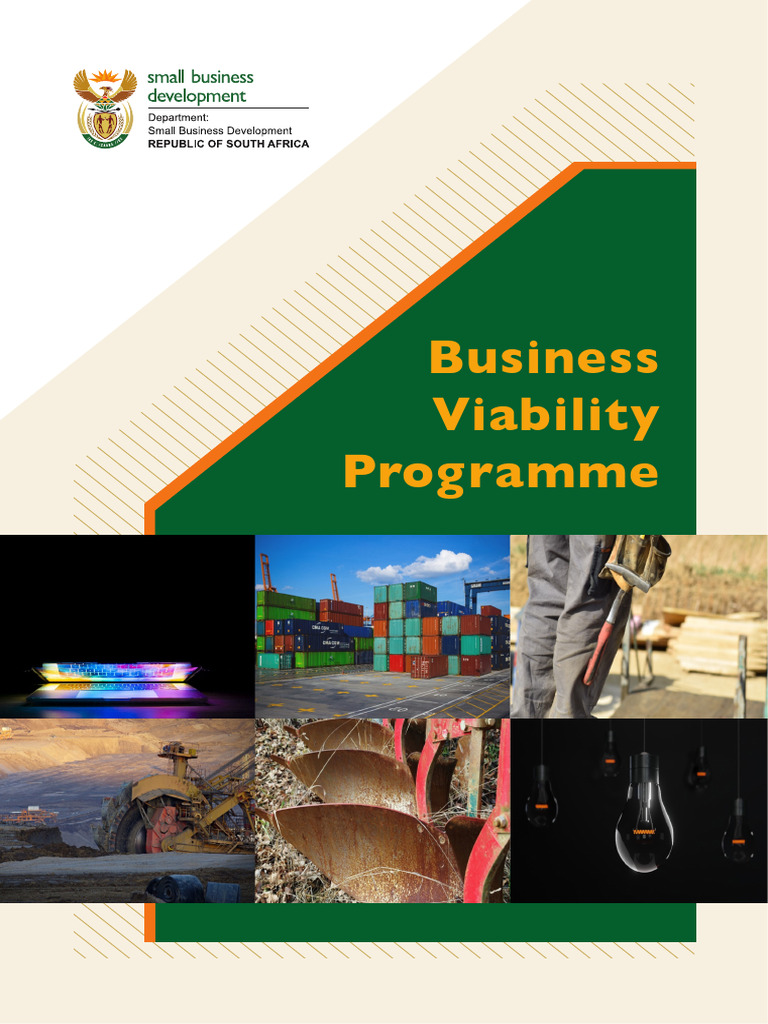 DSBD Business Viability Programme V3 | PDF | Business | Employment