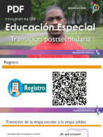 SAEE - 12a Perfil Del Estudiante en Proceso de Transición Postescolar ...