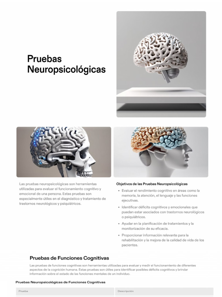 Tema 3 Pruebas Neuropsicologicas | PDF