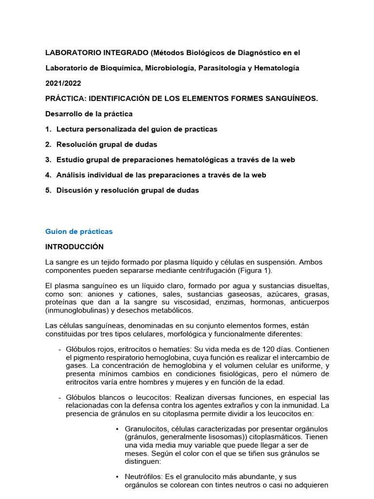 Práctica. Identificación de Los Elementos Formes Sanguíneos. | PDF ...