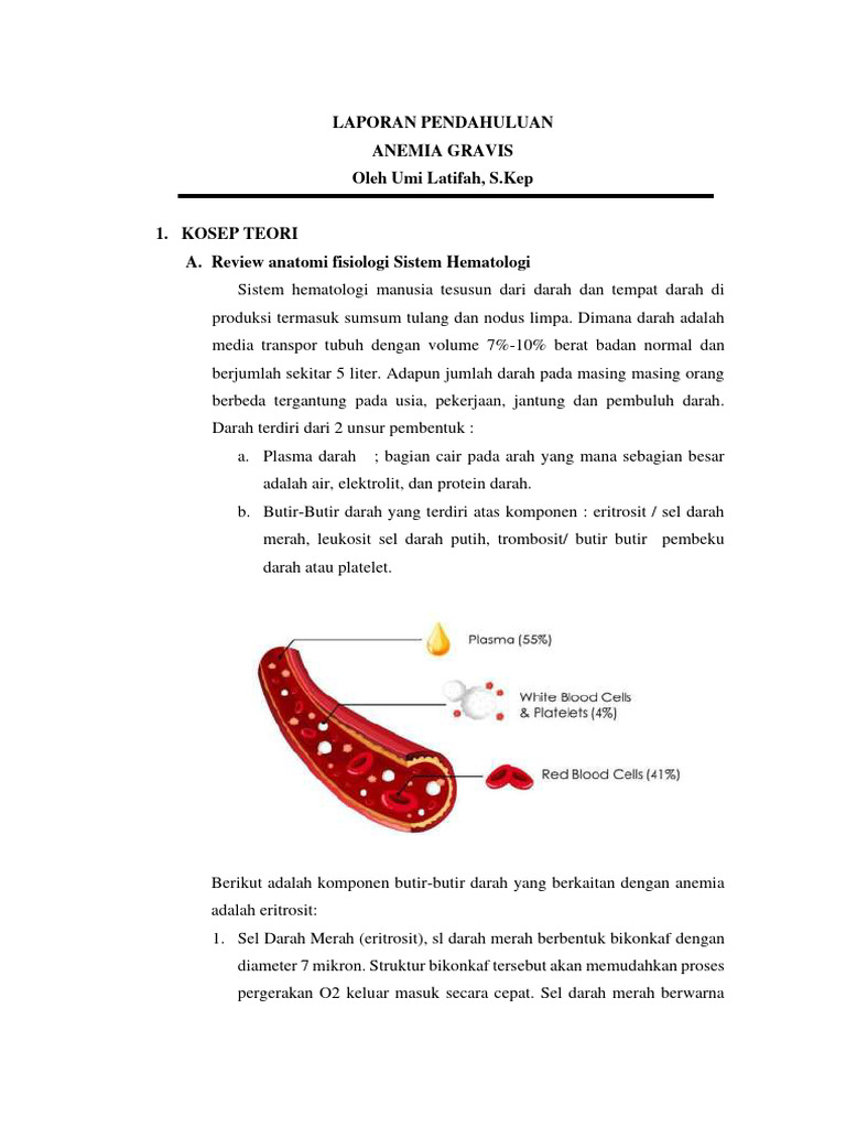 Panduan Lengkap Anemia Gravis | PDF