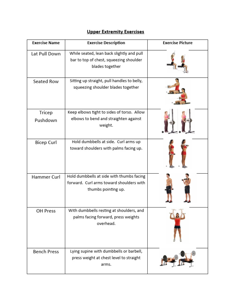 Master List of Exercises 5 | Download Free PDF | Anatomical Terms Of ...