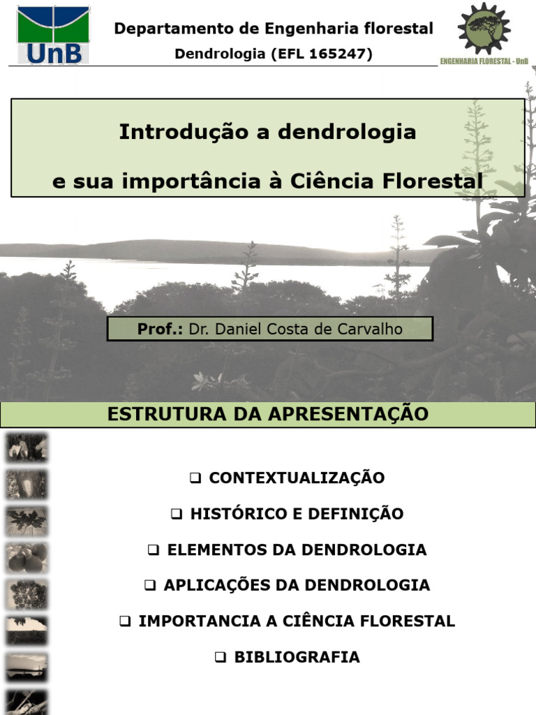 Introdução A Dendrologia UNIVERSIDADE DE BRASíLIA | PDF | Biologia ...