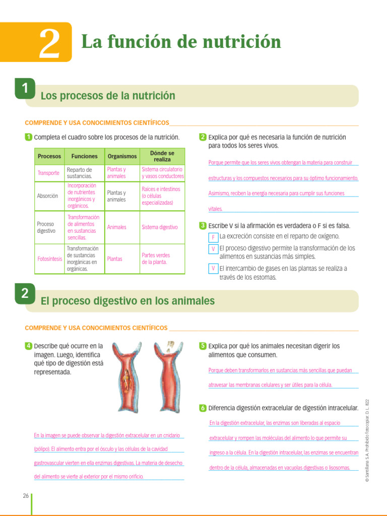 2DA UNIDAD La Funcion de Nutricion | PDF | Respiración | Digestión