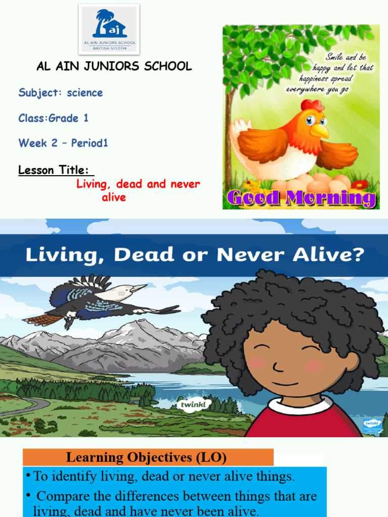 Living, Dead, or Never Alive Lesson Plan | PDF