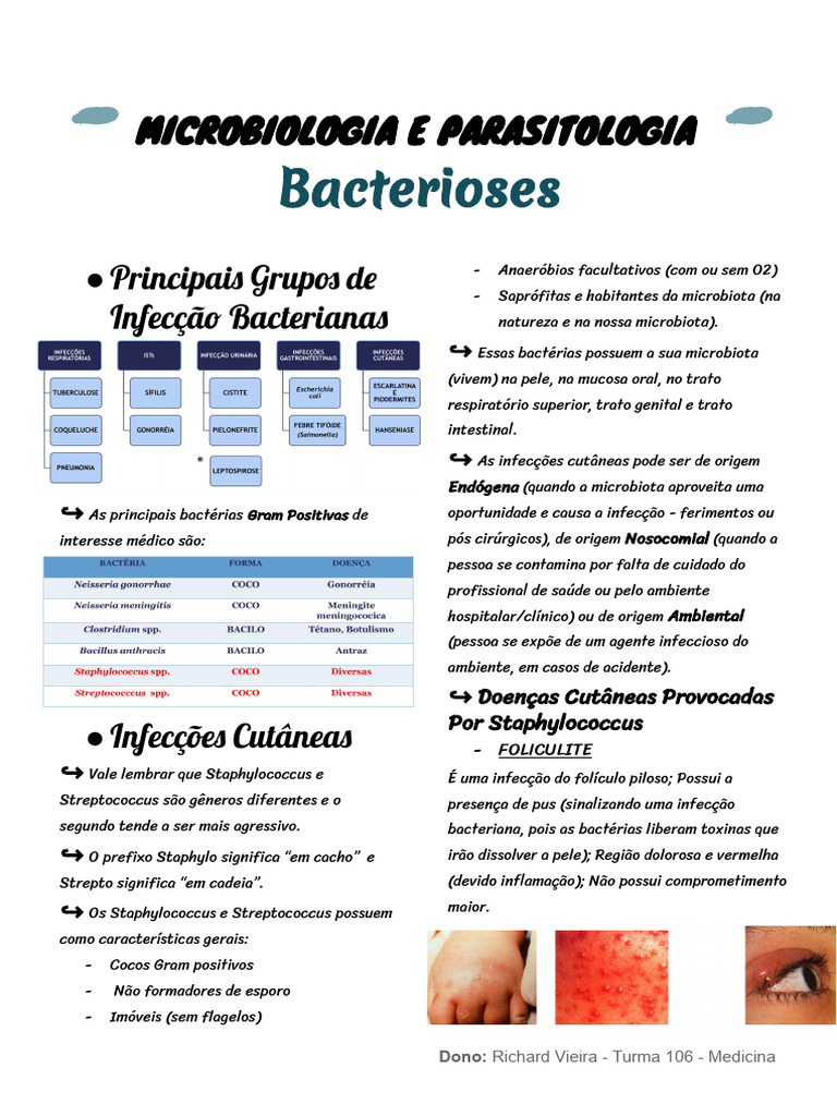 Microbiologia 4ºP - Bacterioses | PDF | Bactérias | Infecção do trato ...
