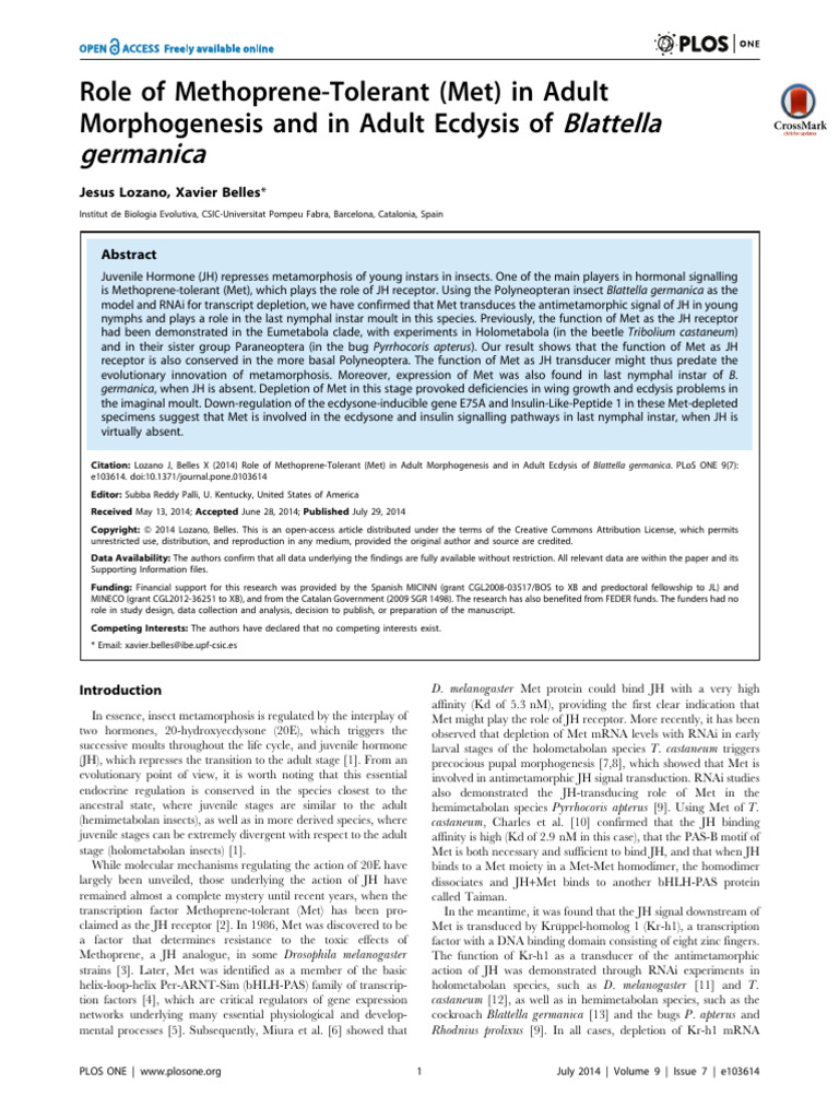 Blattella Germanica: Role of Methoprene-Tolerant (Met) in Adult ...