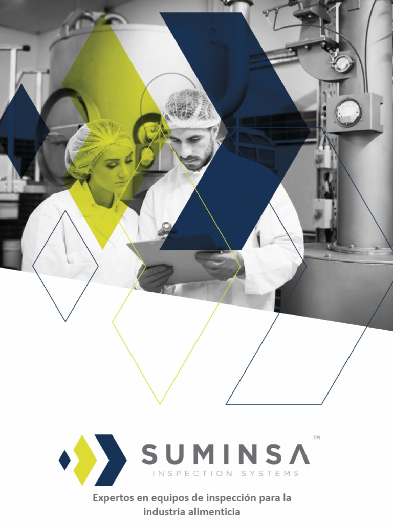 Equipos de Inspección Alimentaria | PDF | Magnetismo
