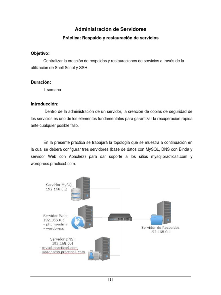 Practica Backup y Restore | PDF | Redes | Internet y web