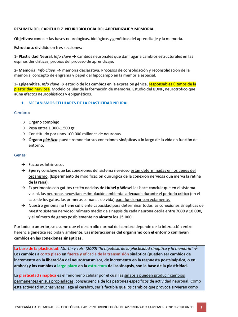 RESUMEN CAP 7 NEUROBIOLOGÍA DEL APRENDIZAJE Y LA MEMORIA (CURSO 2019-2020) | PDF | Receptor Nmda ...