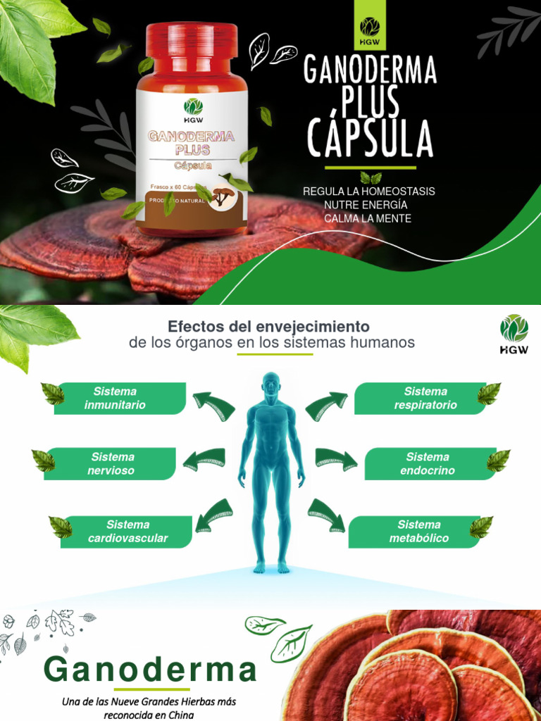 Beneficios de Ganoderma Plus para la Salud | PDF | Sistema inmune ...
