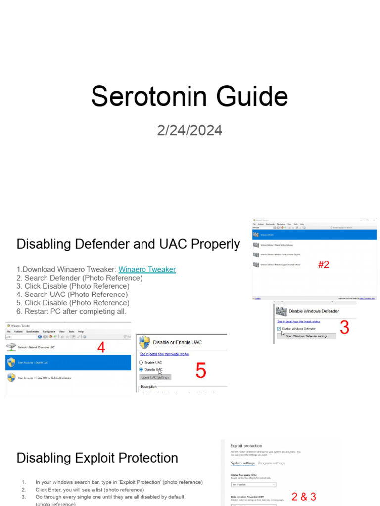 Serotonin External Guide | PDF