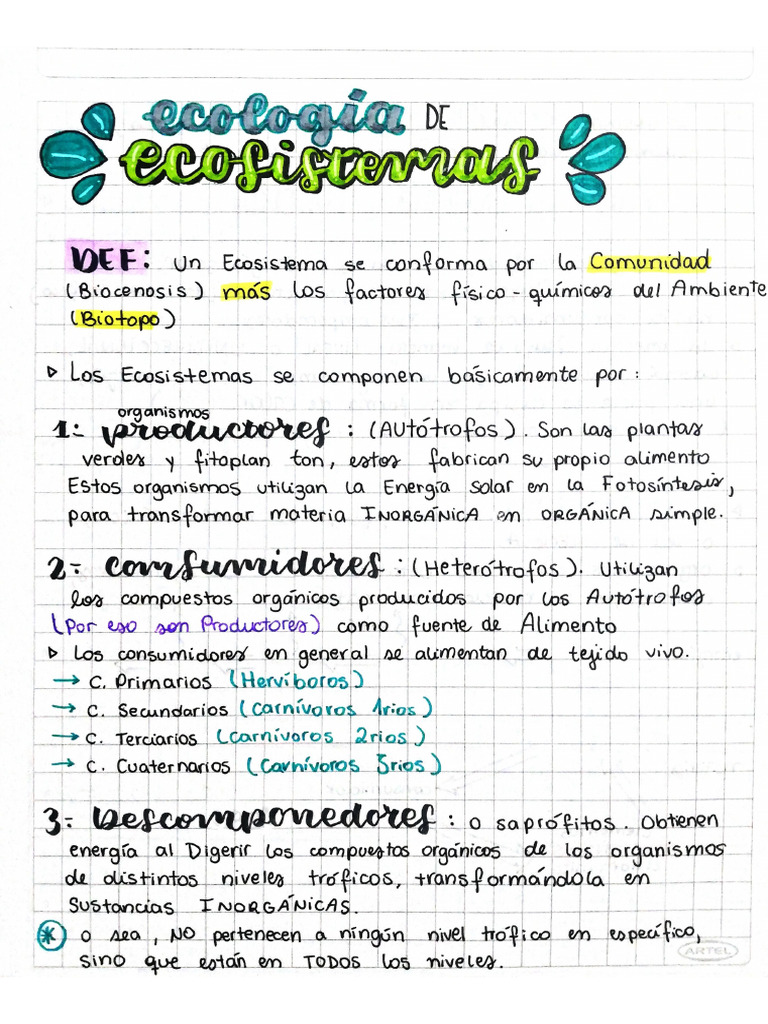 Flujo de Energía y Materia en Los Ecosistemas | PDF