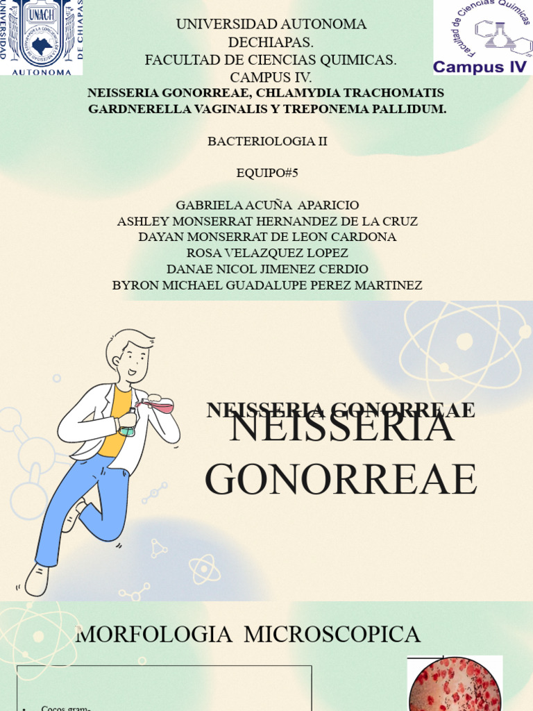 Diapos Bacter Teoria | PDF | Biología Celular | Microbiología
