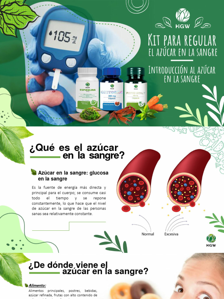 55. Kit para regular azu_car en la sangre | PDF | Insulina | Glucógeno