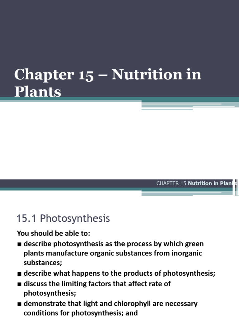 Chapter 15 - Nutrition in Plants.pptx | PDF | Stoma | Leaf