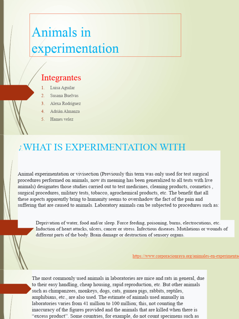 Understanding Animal Experimentation Ethics | PDF | Animal Testing ...