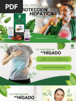 HEPAGRAS | PDF | Hígado | Bilis