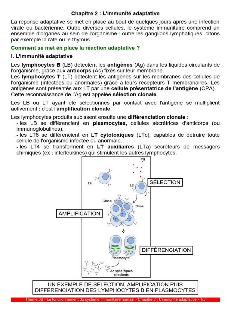 Mécanismes de l'immunité adaptative | PDF | Système immunitaire ...
