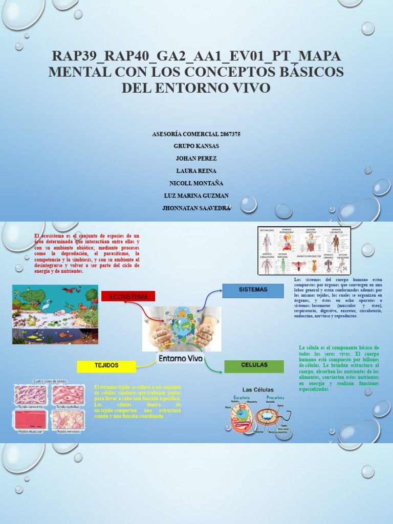 Rap39_rap40_ga2_aa1_ev01_pt_mapa Mental Con Los Conceptos Básicos Del Entorno Vivoss Grupo ...