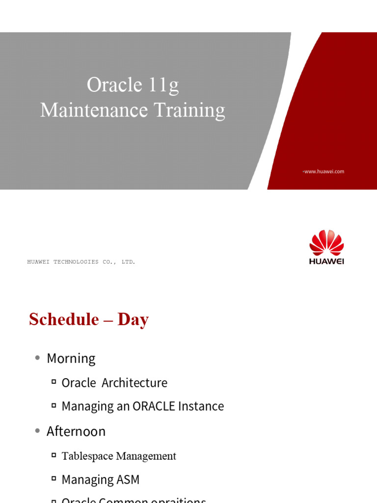 Oracle 11g Maintenance Training Guide | PDF | Cache (Computing) | Databases