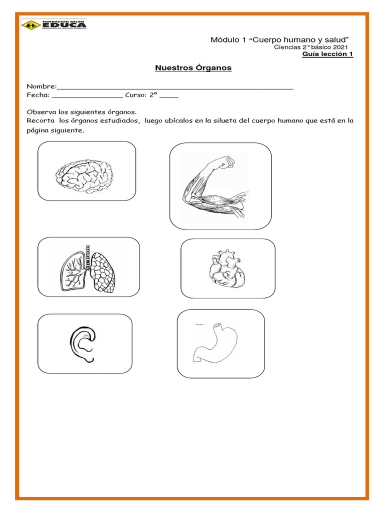 Clase 1 Practica Independiente Unidad 1 2021 | PDF | Salud y bienestar