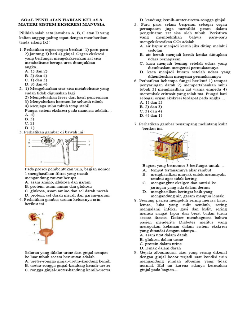 SOAL PH Kls 8 SISTEM EKSKRESI | PDF