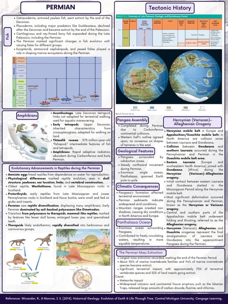 Permian Period | PDF | Geology | Earth Sciences