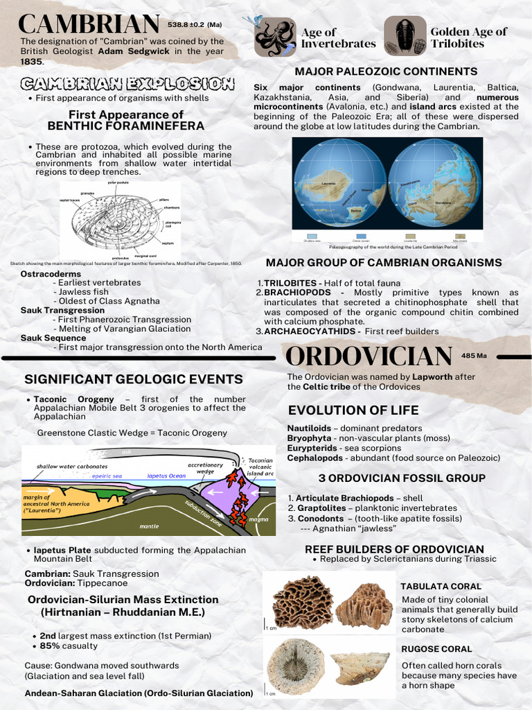 Cambrian Ordo Paleo | PDF | Geology | Earth Sciences