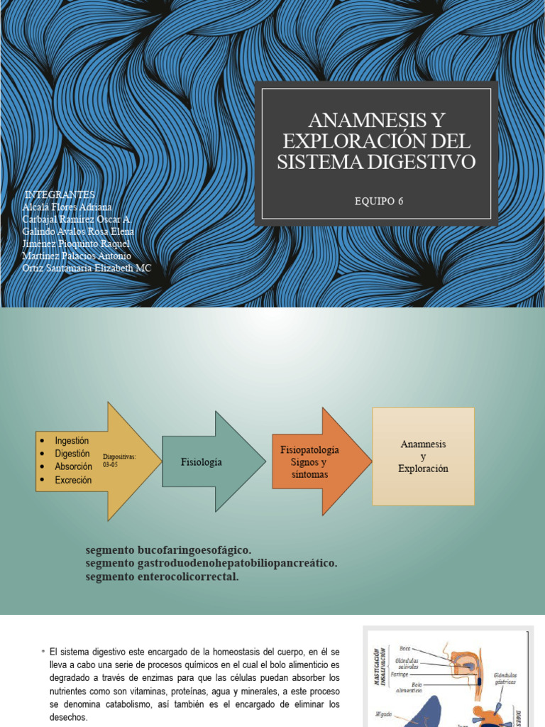 Ex Posicion Final | PDF | Estómago | Heces