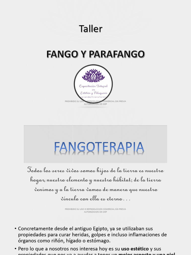 Fangoterapia: Beneficios y Aplicaciones | PDF | Arcilla | Barro